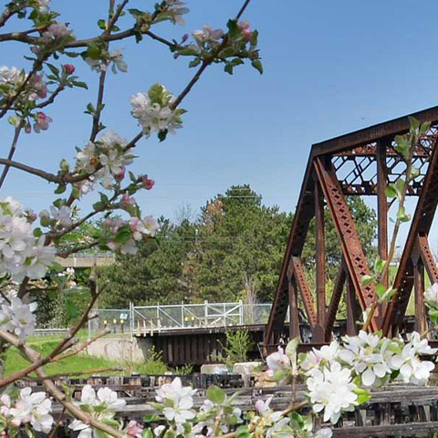 Welland | CAA Niagara